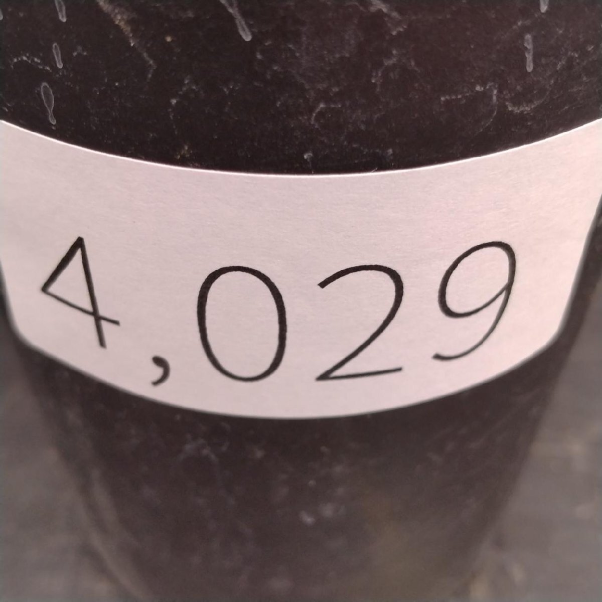 Yahoo!オークション - 4029 「実生」アロエ アルゲンチカータ【発根・...