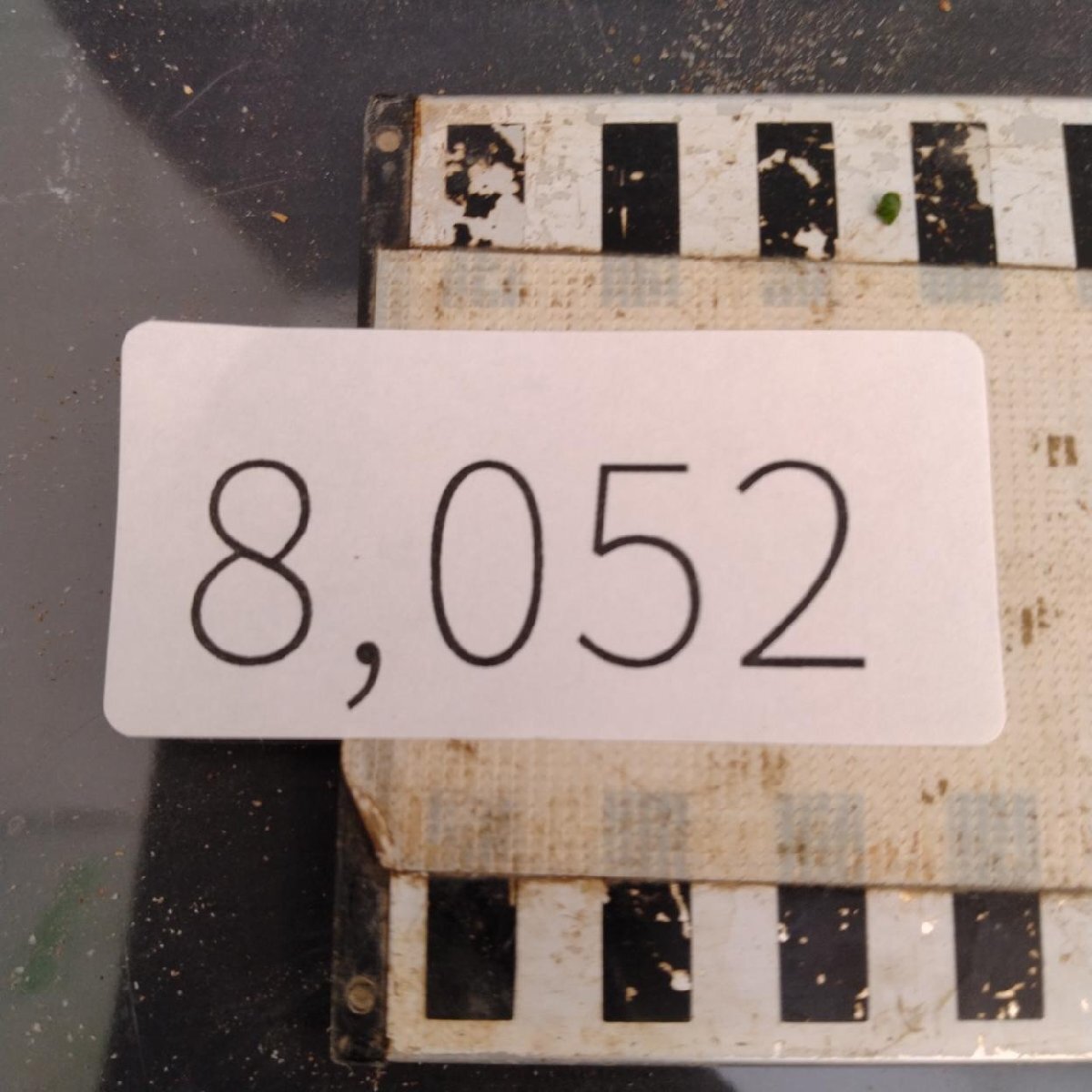 Yahoo!オークション - 8052 「塊根植物」チレコドン レティキュラータ...