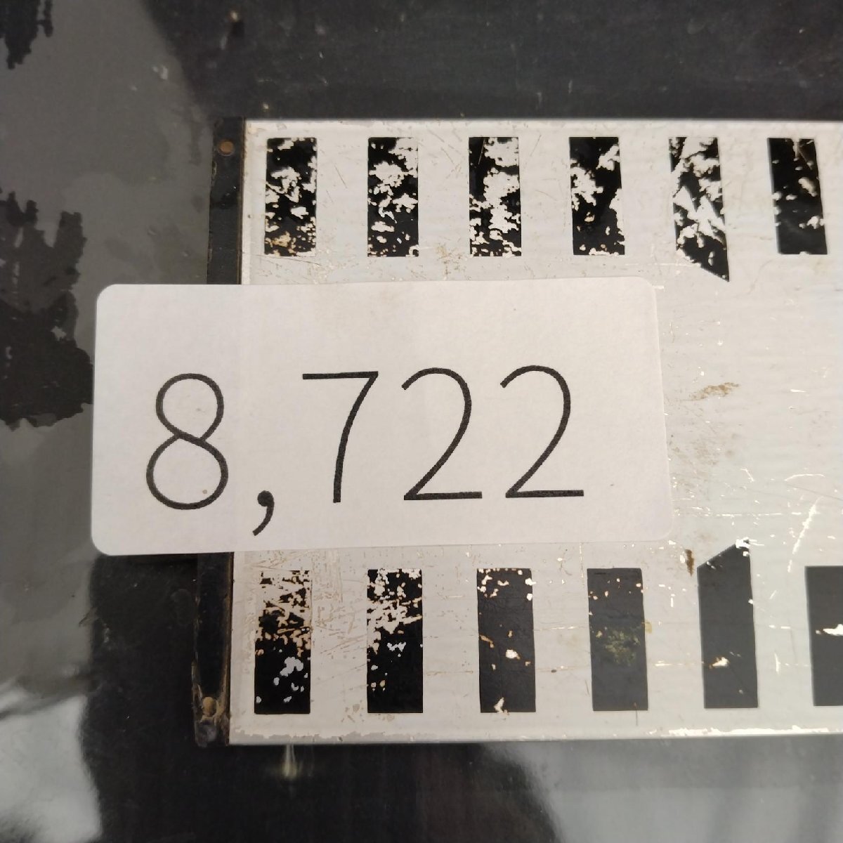 Yahoo!オークション - 8722 「塊根植物」パキポディウム グラキリス L ...