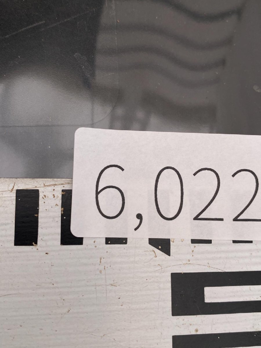 Yahoo!オークション - 6022 「球根植物」ブーファン ハエマンソイデス ...