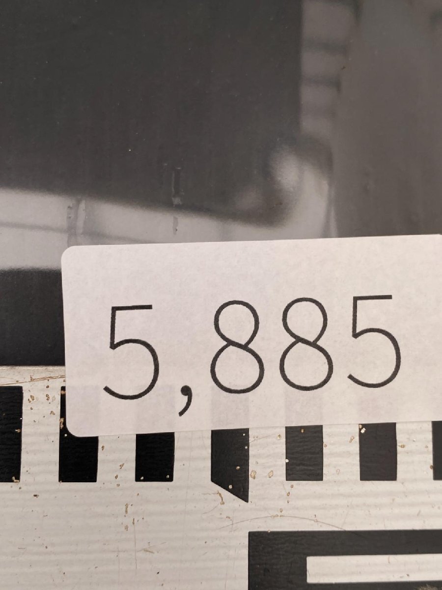 Yahoo!オークション - 5885 「塊根植物」ユーフォルビア パキポディオ...