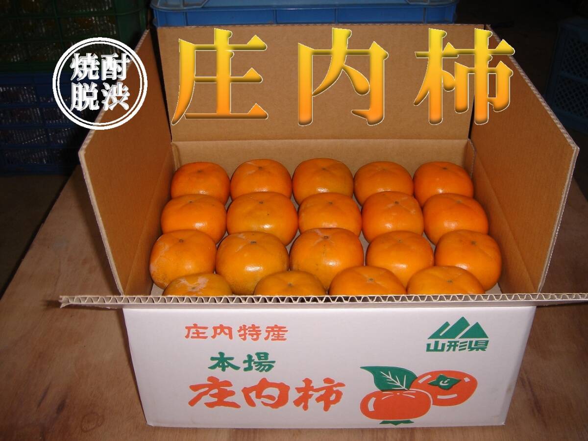 Yahoo!オークション - 【即日発送】庄内柿10kg『平核無は今が旬 』 種...