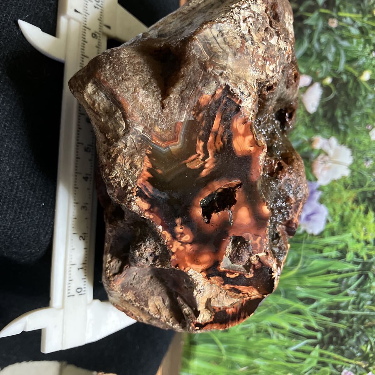 Yahoo!オークション - C1123-赤瑪瑙820g