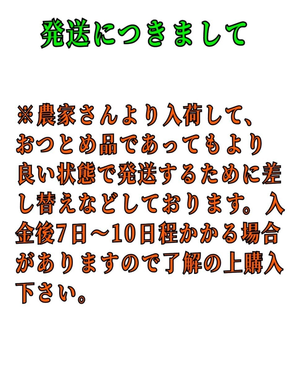 Yahoo!オークション - 送料込 ESC愛媛県中島産みかんおつとめ品13kg+保...