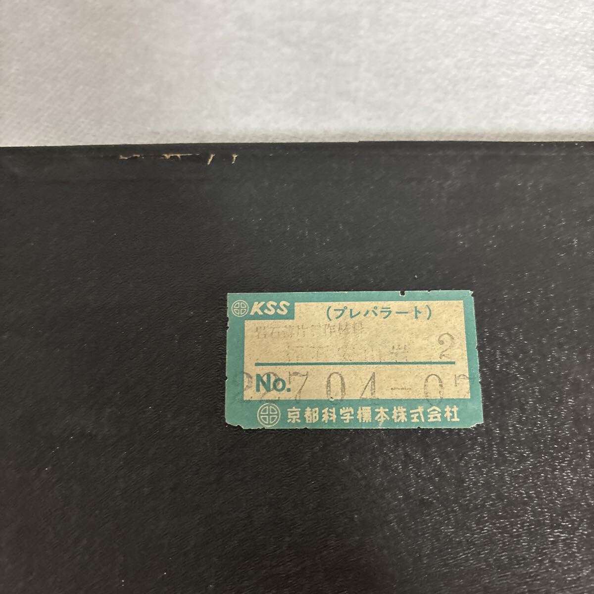 X382 京都化学標本株式会社 岩石薄片 プレパラート 輝石安山岩 長野県 8枚(岩石、鉱物)｜売買されたオークション情報、yahooの商品情報をアーカイブ公開 - オークファン（aucfan ...