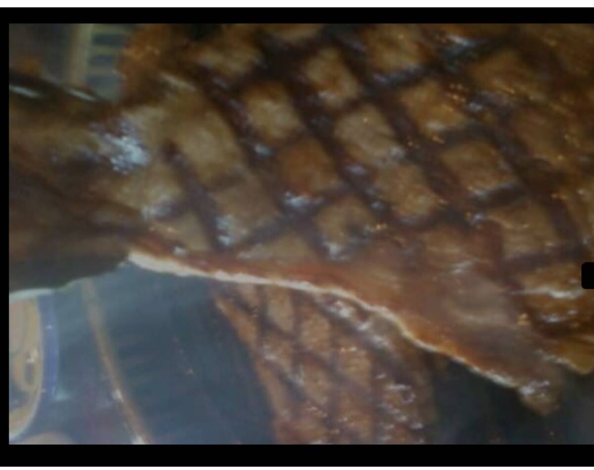 Yahoo!オークション - ^_^/即決なら1kg×14kgお届け 霜降り加工サーロ...