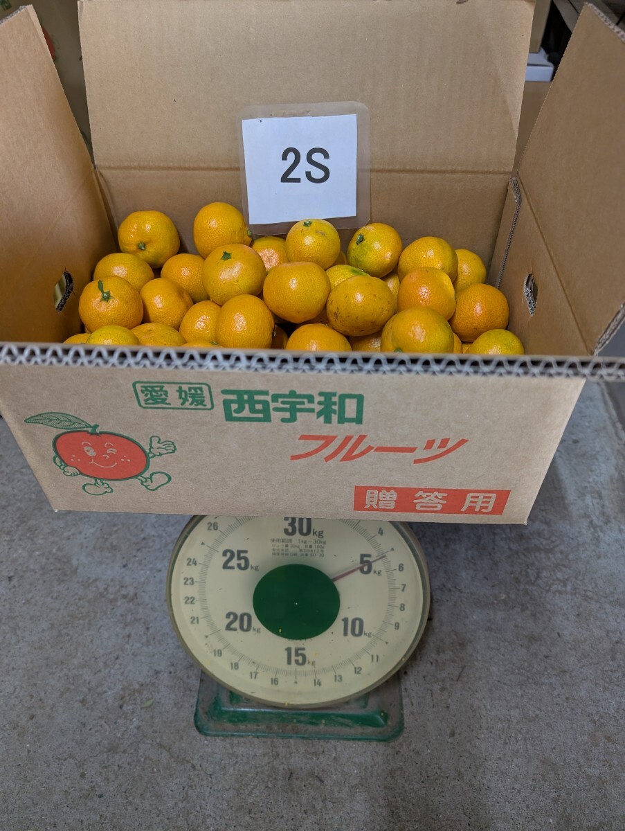 Yahoo!オークション - 愛媛西宇和産 宮川早生みかん 2S 5kg