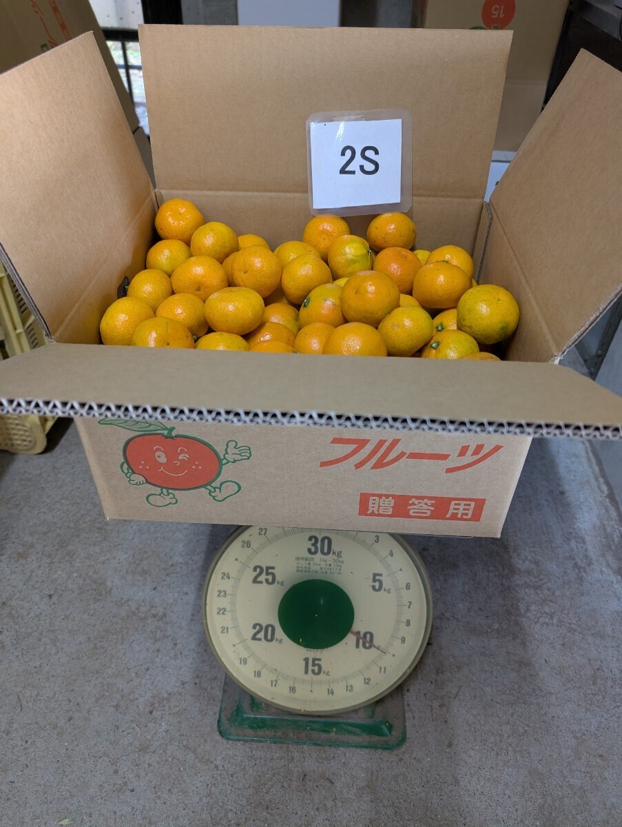 Yahoo!オークション - 愛媛西宇和産 宮川早生みかん 2S 10kg