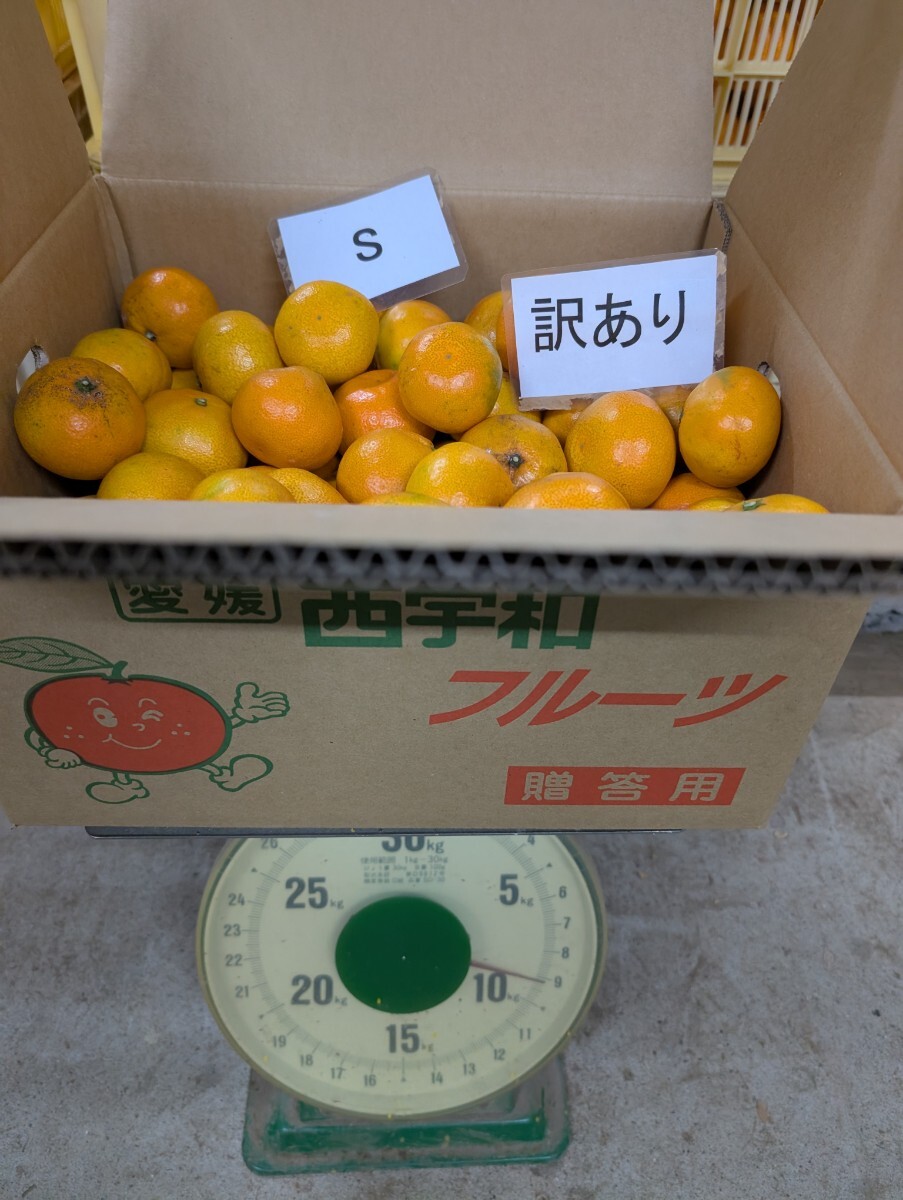 Yahoo!オークション - 愛媛西宇和産 宮川早生みかん S訳あり 9kg