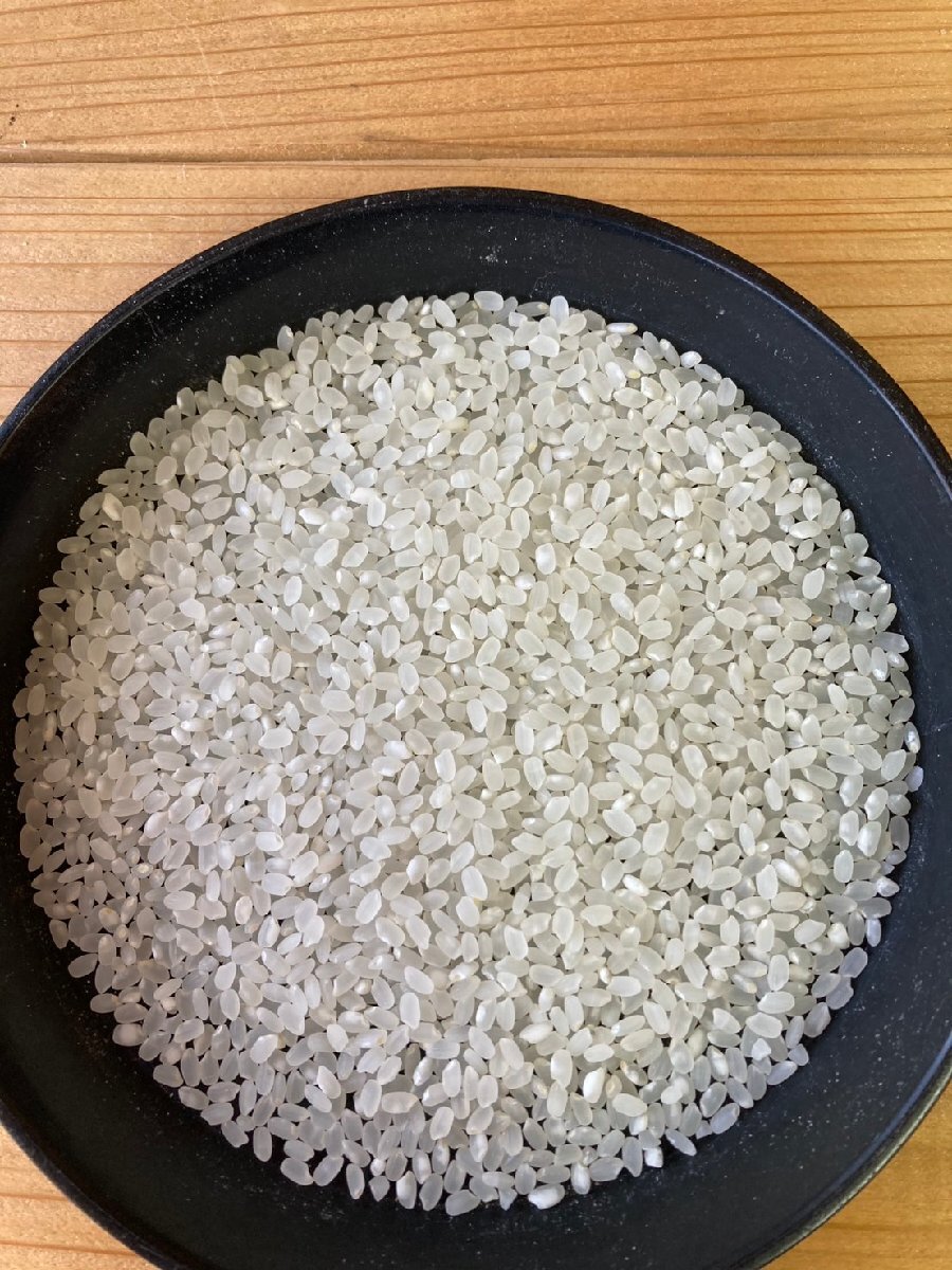 Yahoo!オークション - 【ゆめぴりか5kg】大粒米 新米 令和7年産 北海道...