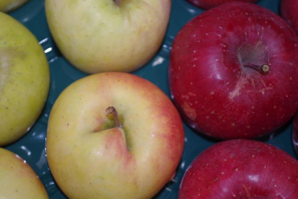 Yahoo!オークション - 北信濃発 サンフジ+名月のミックス 5kg 16玉...