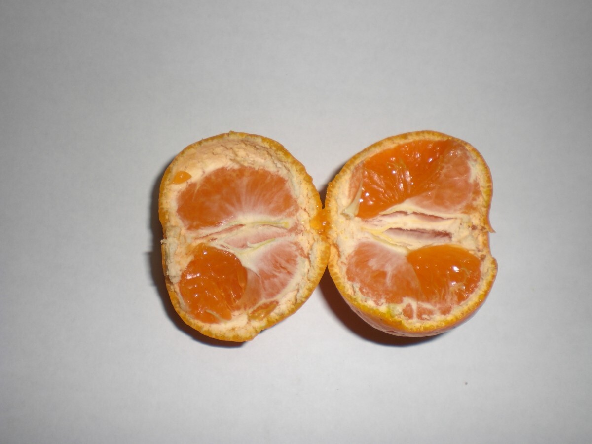 Yahoo!オークション - 厳選 紀州 有田ミカン 早生 Mサイズ 赤秀 5kg