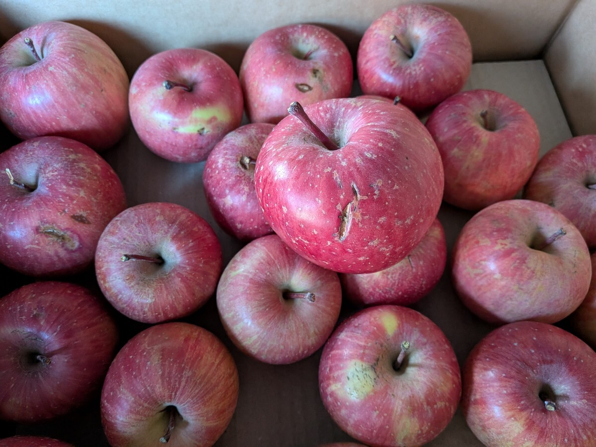 Yahoo!オークション - 岩手 花巻 訳あり ふじ リンゴ 10Kg