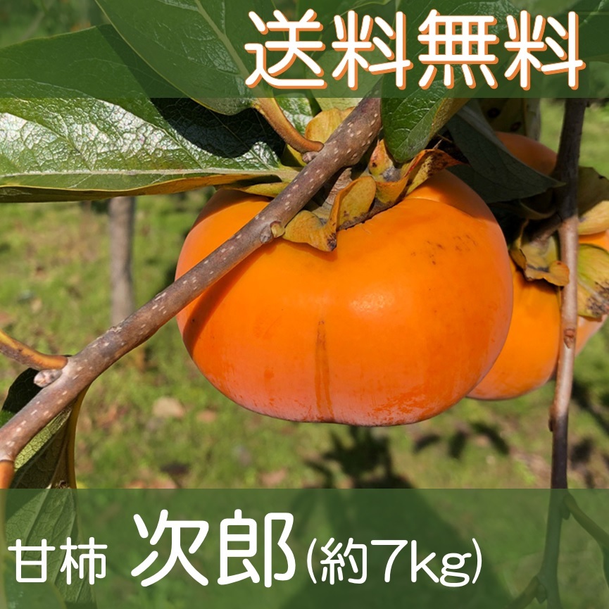 Yahoo!オークション - 送料無料 甘柿【品種 次郎】 家庭用 約7kg(1)