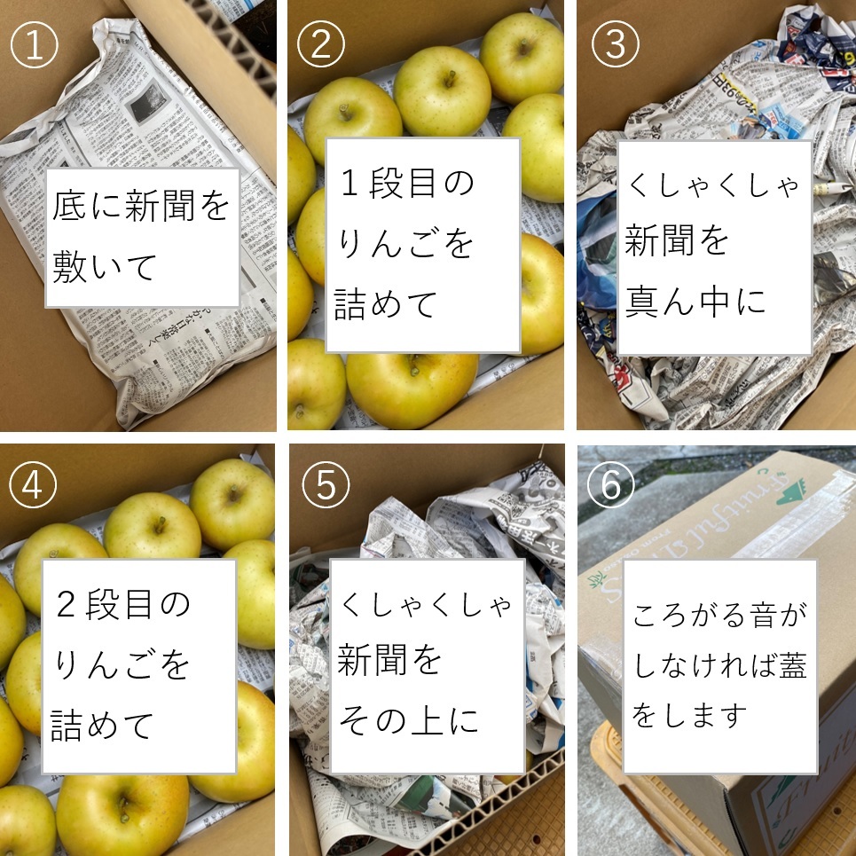 Yahoo!オークション - 送料無料 福島産りんご ぐんま名月 約5kg(32)