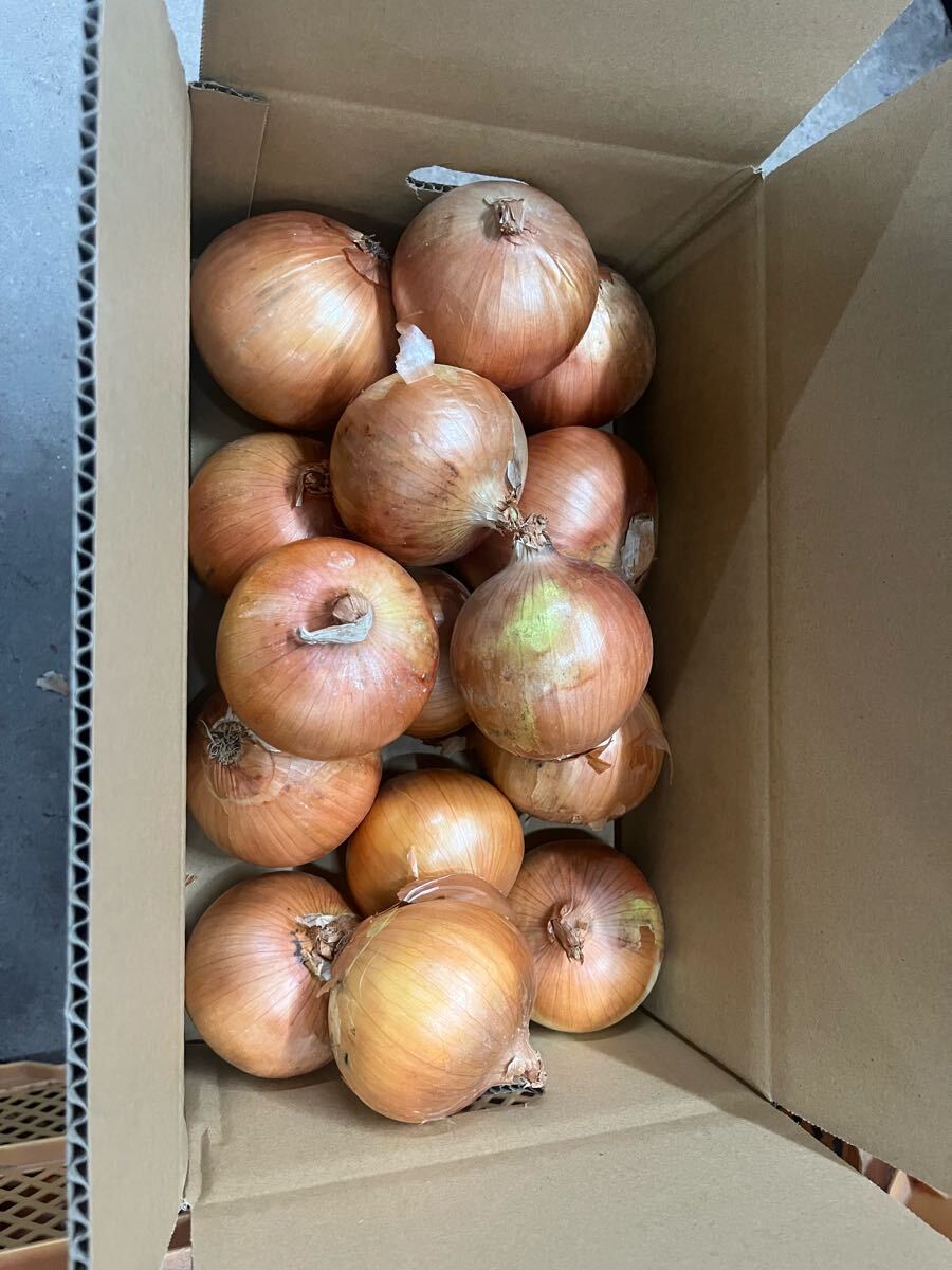 Yahoo!オークション - 竹原さんちの野菜畑 食品ロス支援 淡路島玉ねぎ ...