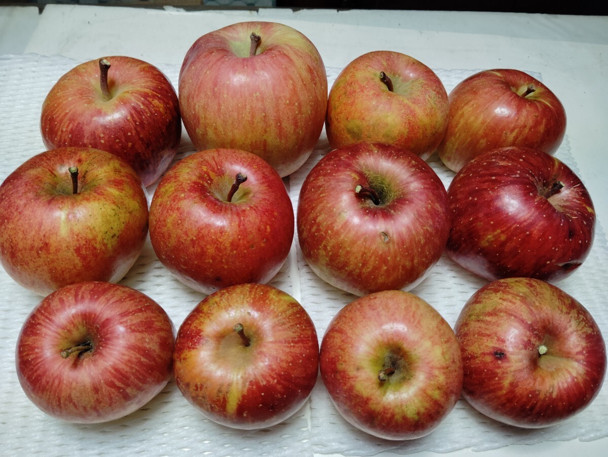 Yahoo!オークション - 信州産リンゴ サンフジ 3kg ご家庭用 訳あり...