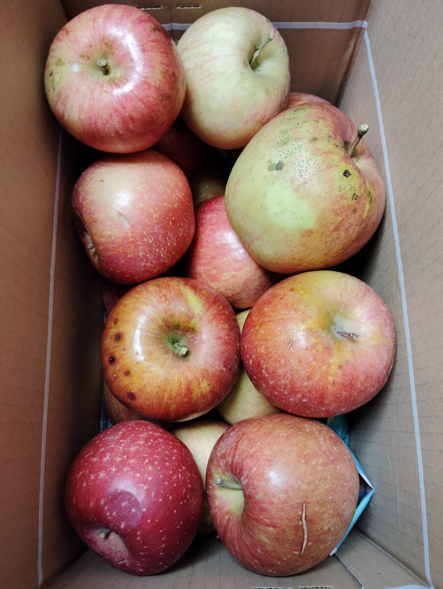 Yahoo!オークション - 信州産リンゴ サンフジ 箱込み約5kg 加工用
