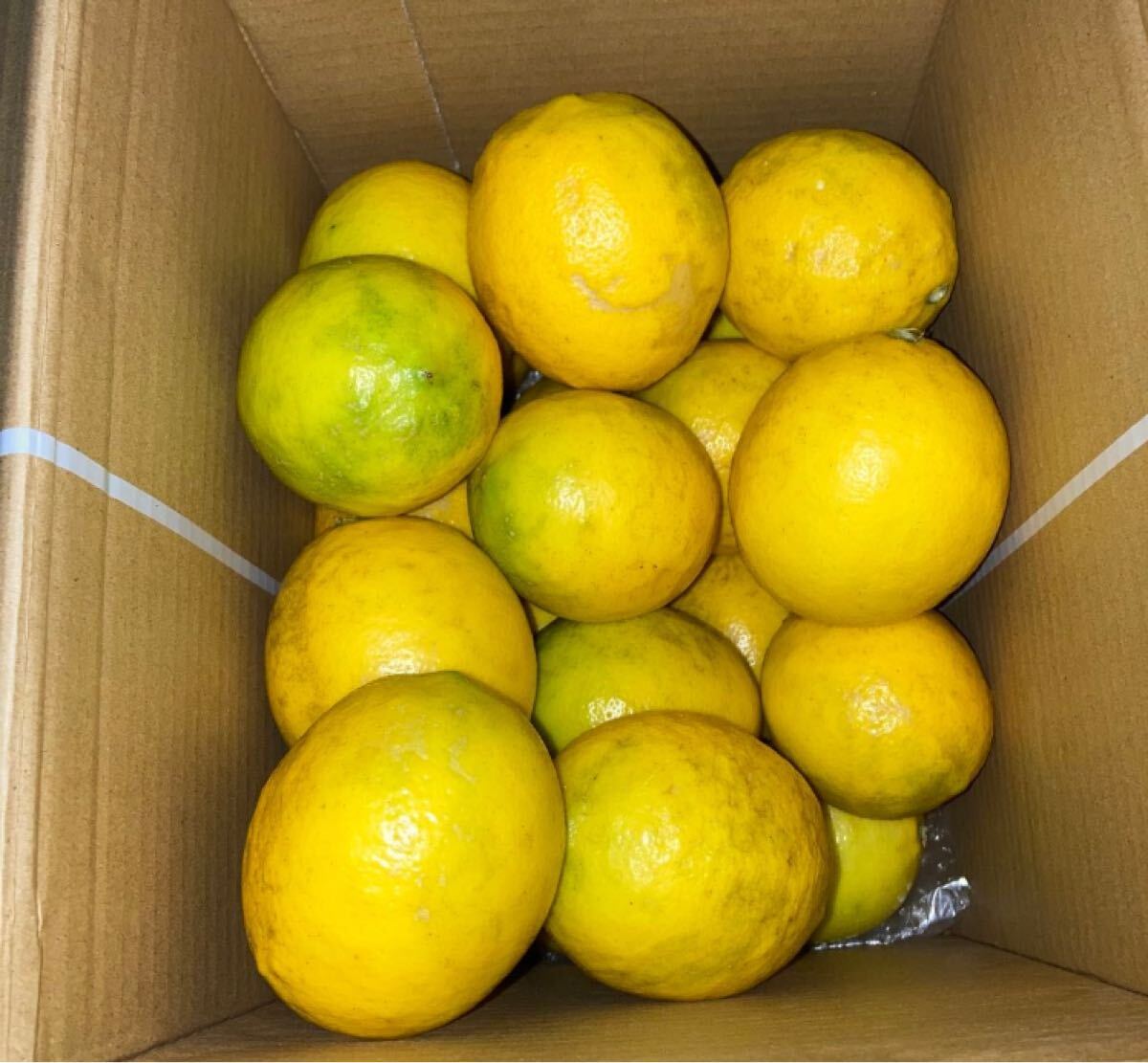 Yahoo!オークション - レモン 愛媛発 家庭用 訳あり 約4.8kg