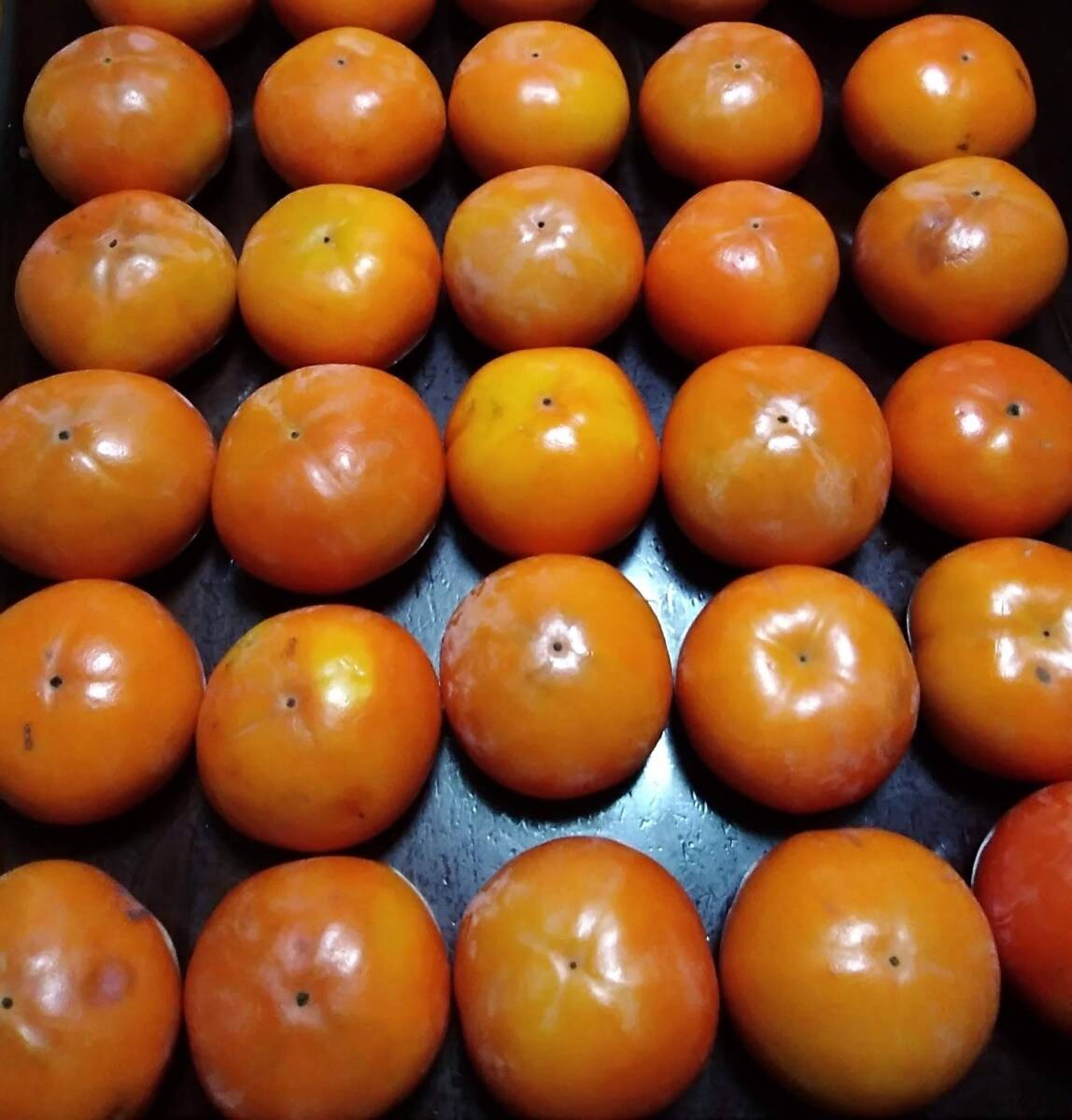 Yahoo!オークション - 硬めの柿好きの方へ 富有柿 5kg 硬め220g前後を2...