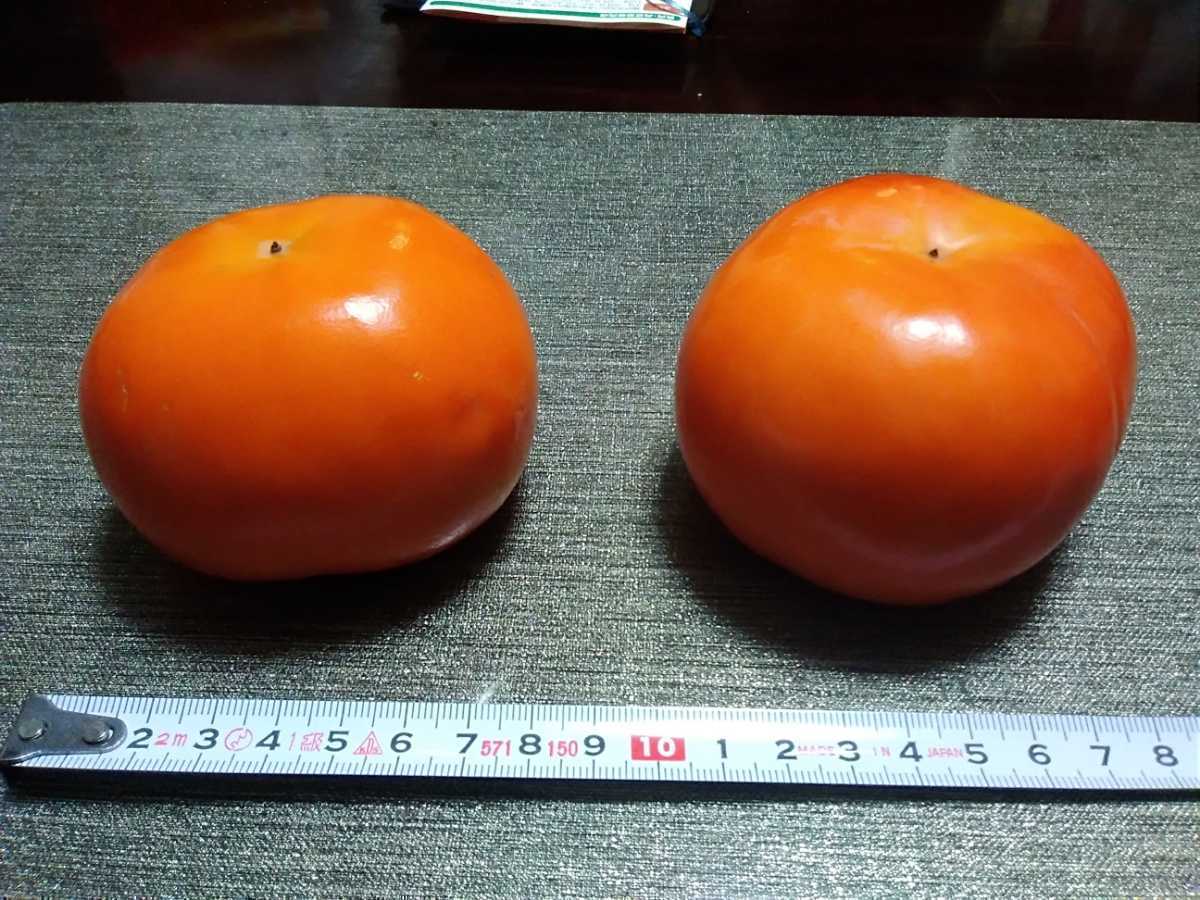 Yahoo!オークション - 硬めの柿好きの方へ 富有柿 5kg 硬め220g前後を2...