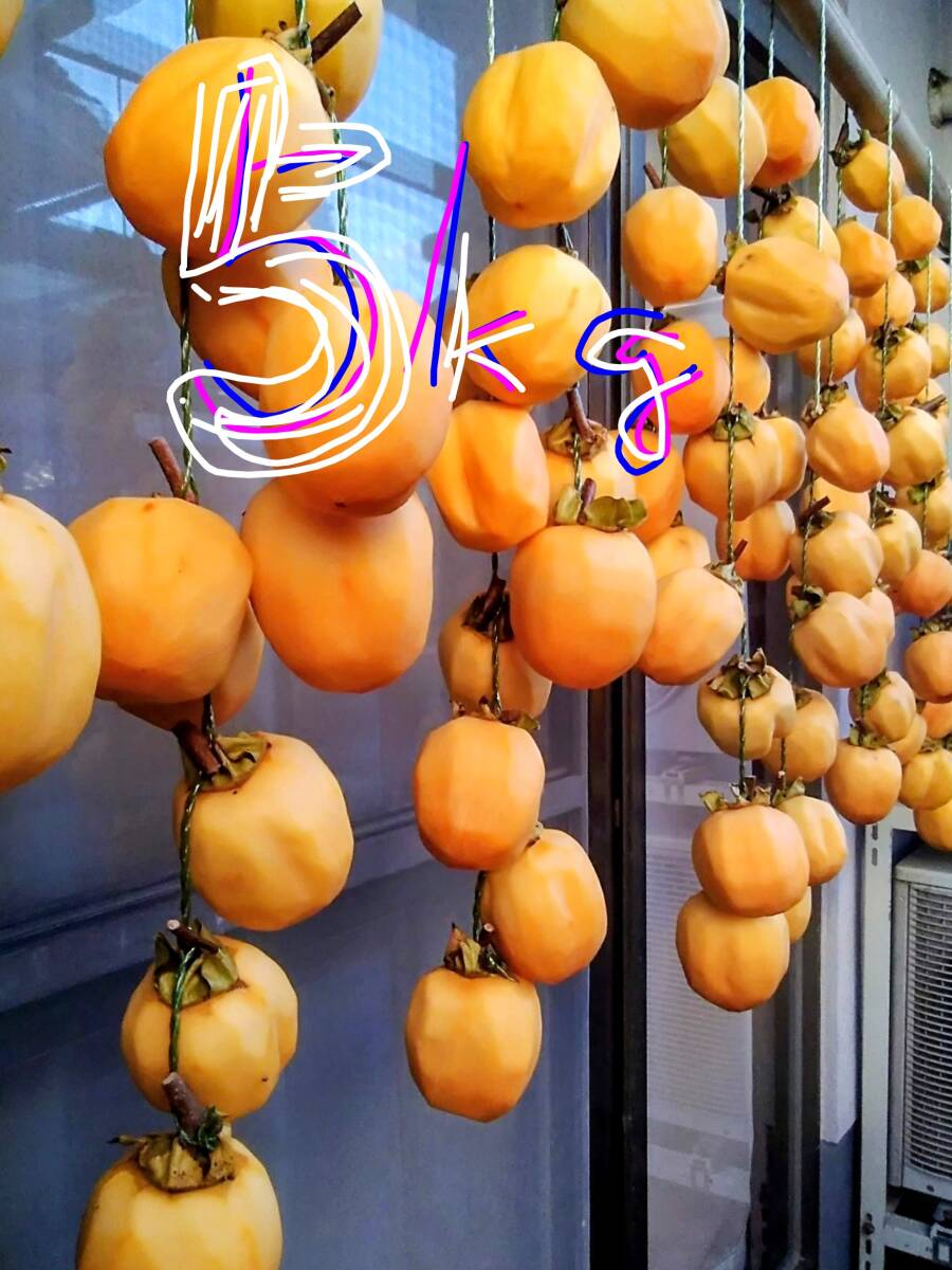 Yahoo!オークション - 干し柿用渋柿 西条柿 5kg 鳥取産 家庭用 送料無...