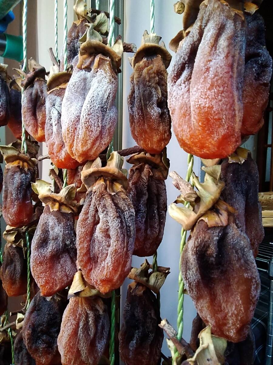 Yahoo!オークション - 干し柿用渋柿 西条柿 5kg 鳥取産 家庭用 送料無...