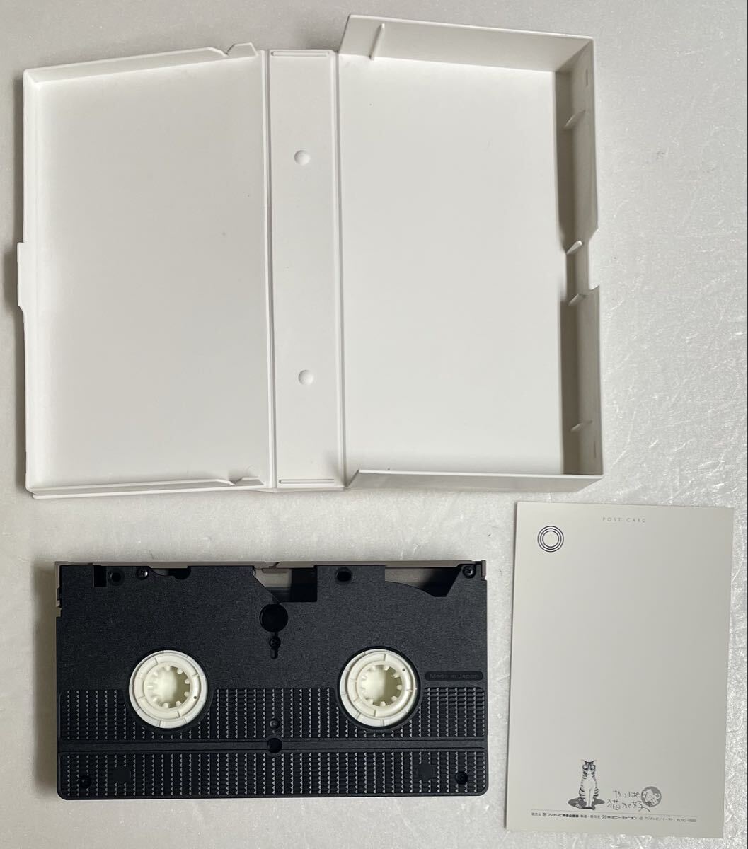 Yahoo!オークション - VHS ビデオ やっぱり猫が好き 蔵出し 焼肉パーテ...