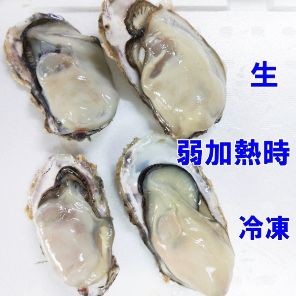 Yahoo!オークション - 2kg 急速凍結 生食用冷凍牡蠣 殻付き 牡蠣 殻付...