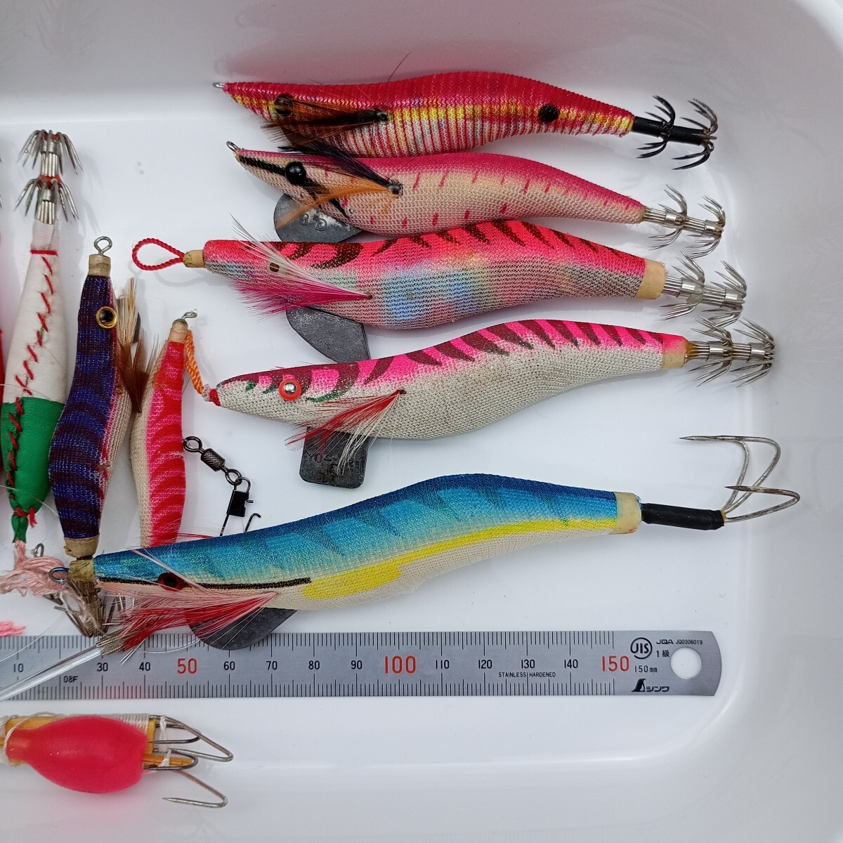 Yahoo!オークション - A7361 イカ 夜焚き ケンサキ ヤリイカ スルメイ...