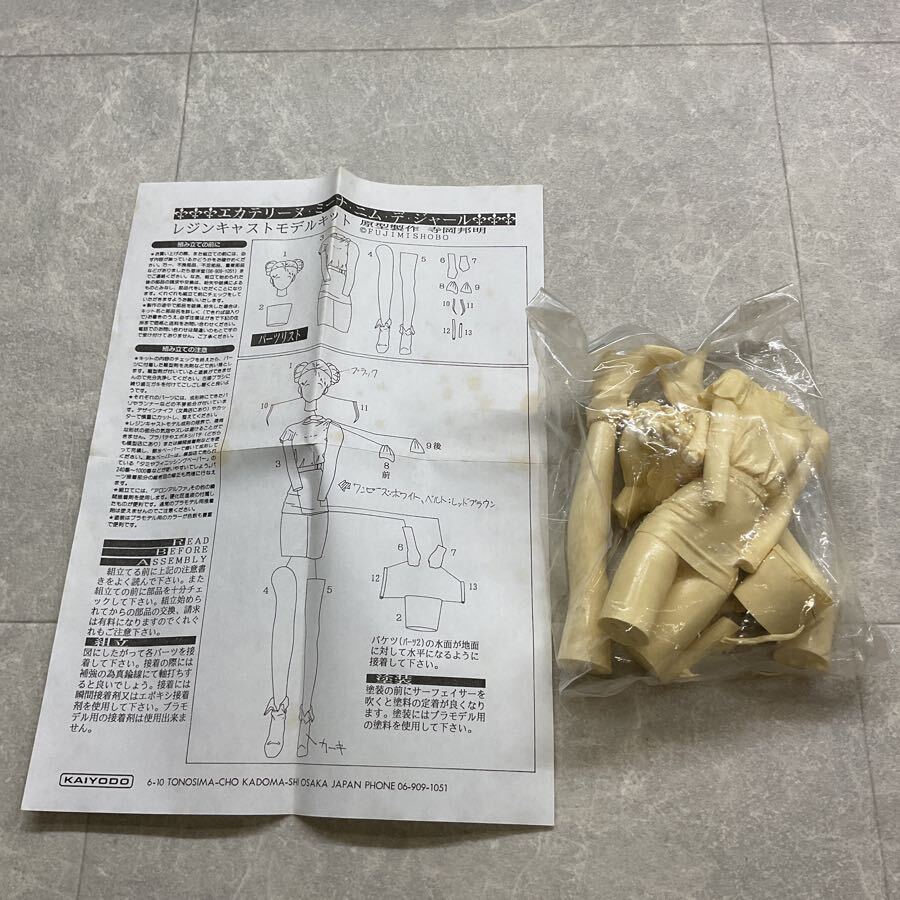 Yahoo!オークション - KAIYODO/海洋堂 ヴェルバーサーガ エカテリーヌ...