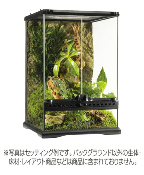 Yahoo!オークション - ж グラステラリウム3045 ジェックス(GEX) エキ...