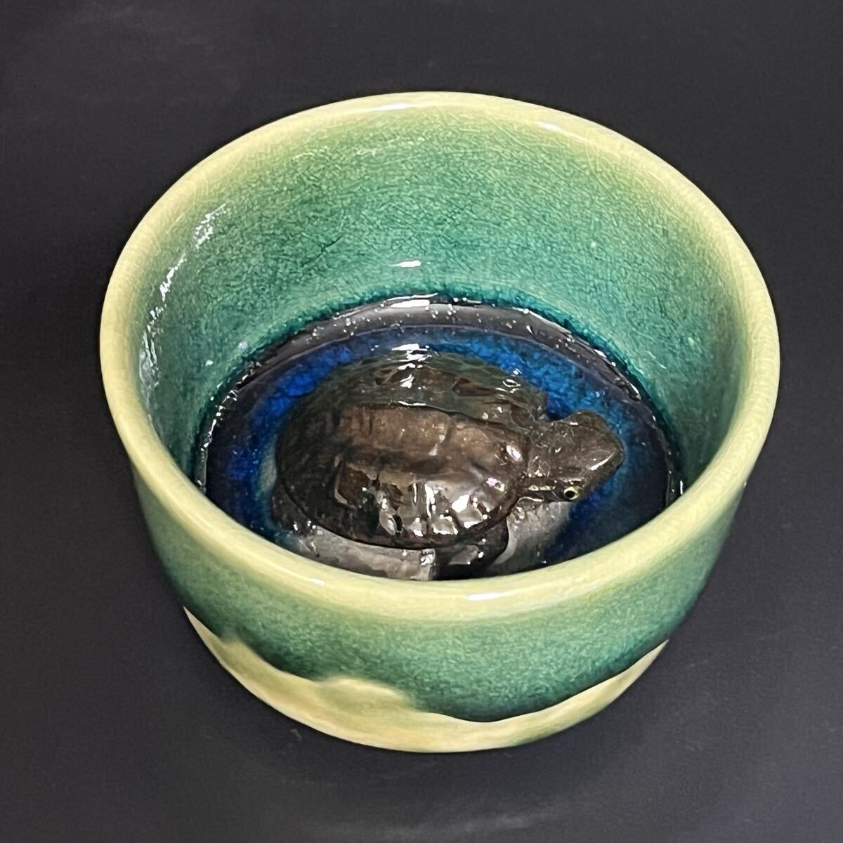 【樂淘letao】日本代購代標第一品牌－クサガメのぐい呑み