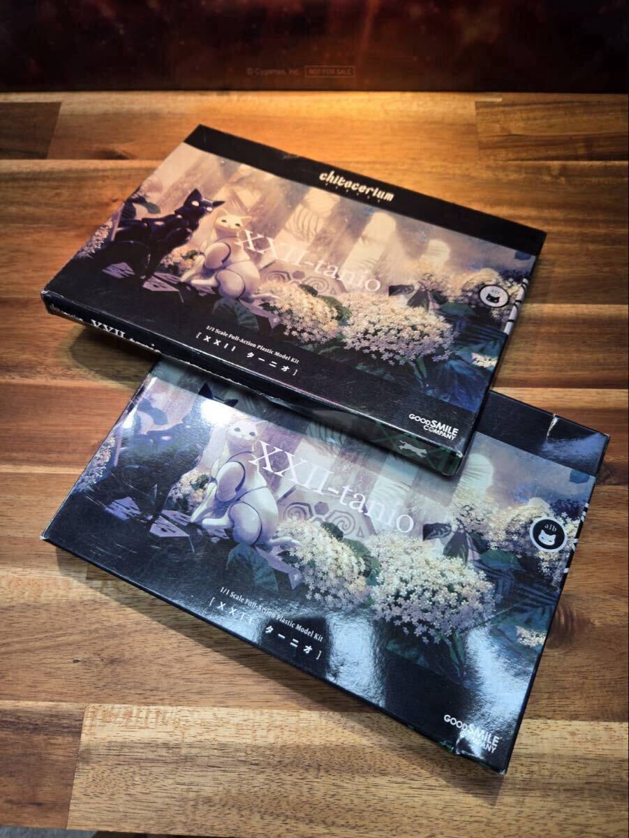 Yahoo!オークション - 希少 チトセリウム chitocerium XXⅡ-ターニオ a...