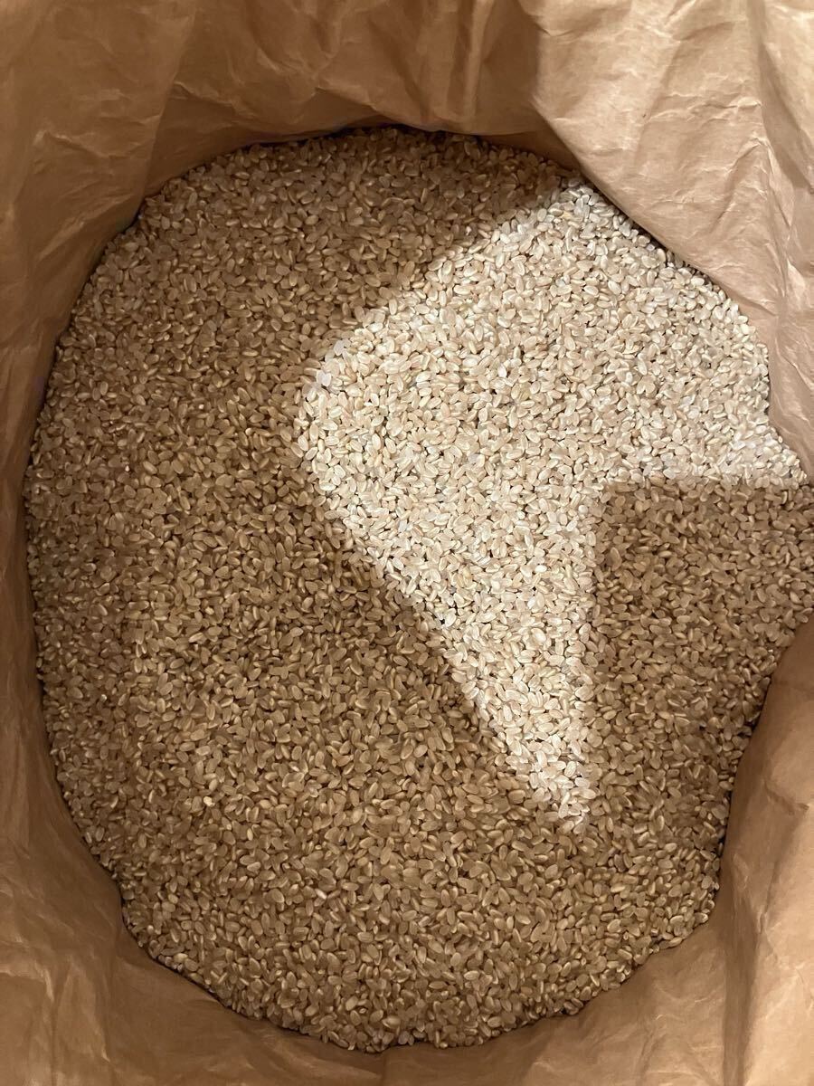 令和7年 奈良県産 ヒノヒカリ 玄米 30kg 生産農家直送｜Yahoo!フリマ（旧PayPayフリマ）