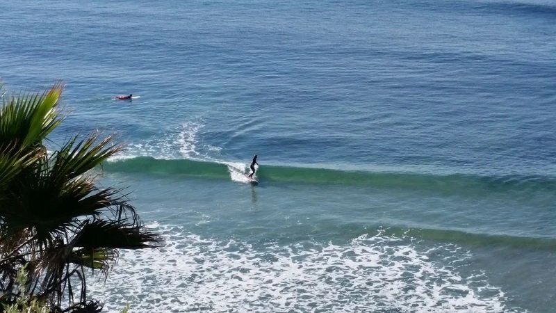 【樂淘letao】日本代購代標第一品牌－ブラックフライデー サークル T スコッティ キャメロン カリフォルニア ギャラリー 限定品 アルミ パッティング カップ Cameron 001