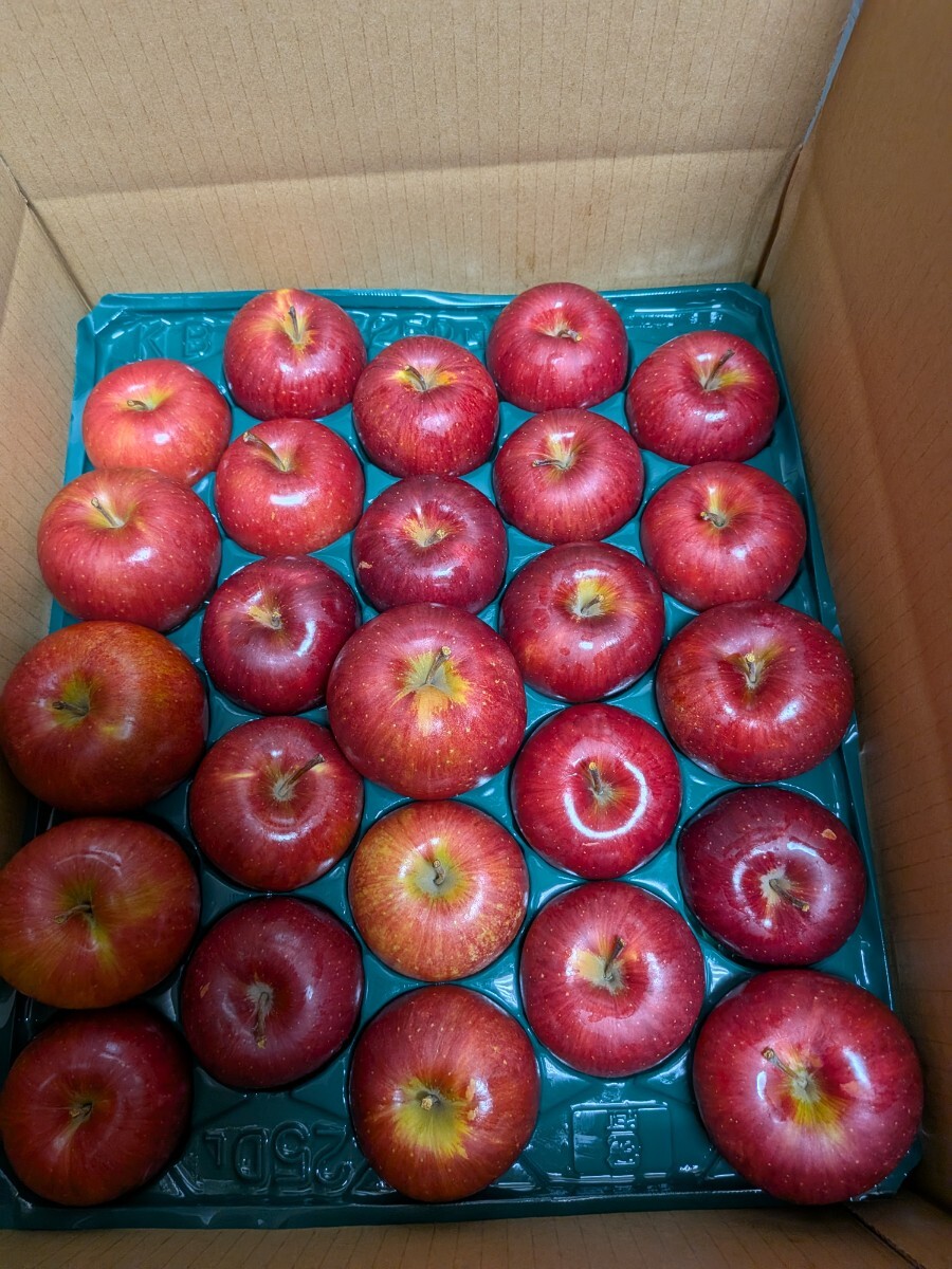 Yahoo!オークション - シナノスイート4.5kg 小玉りんご25個入り