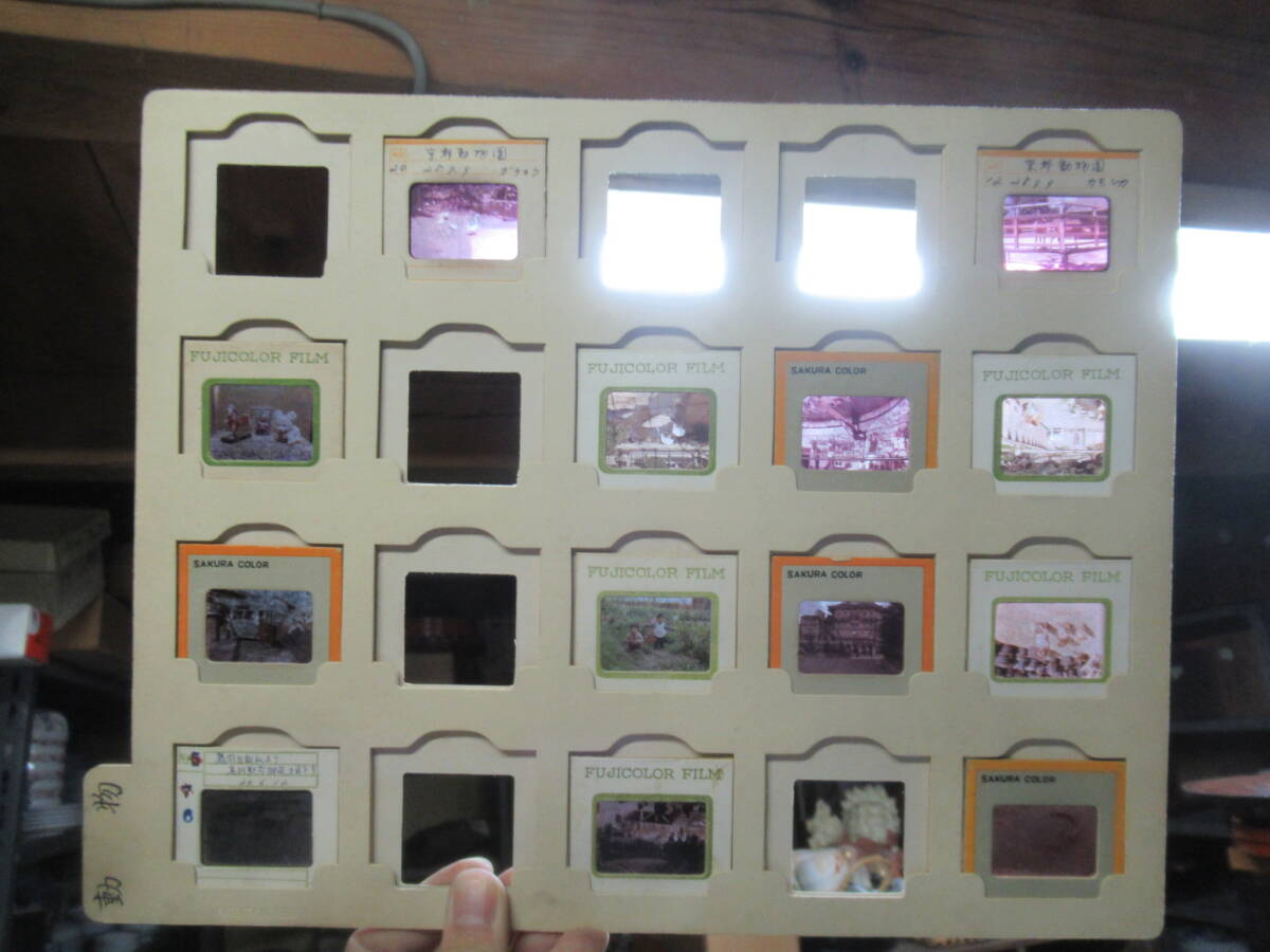 Yahoo!オークション - 【広吉堂】昭和レトロ ネガ 写真 時代物