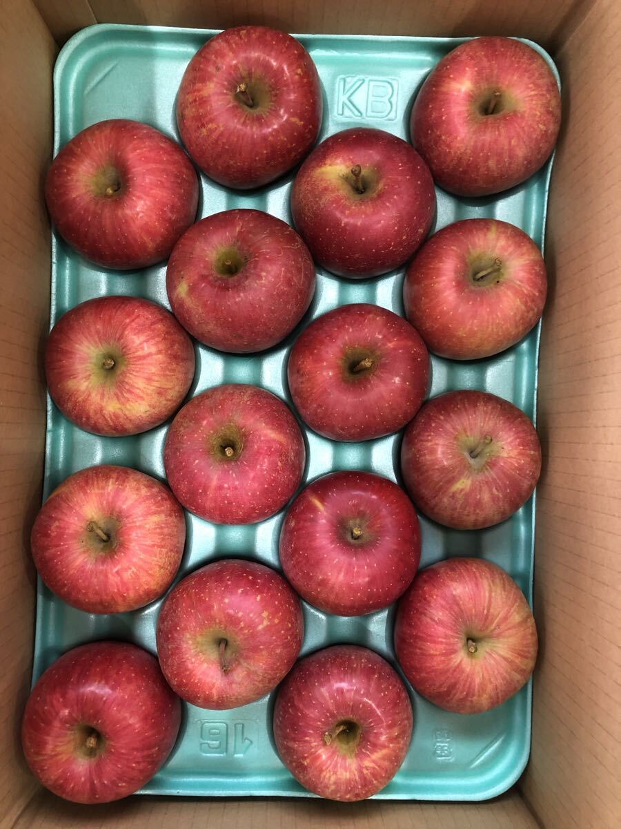 Yahoo!オークション - サンふじ5kg規格 16玉A級