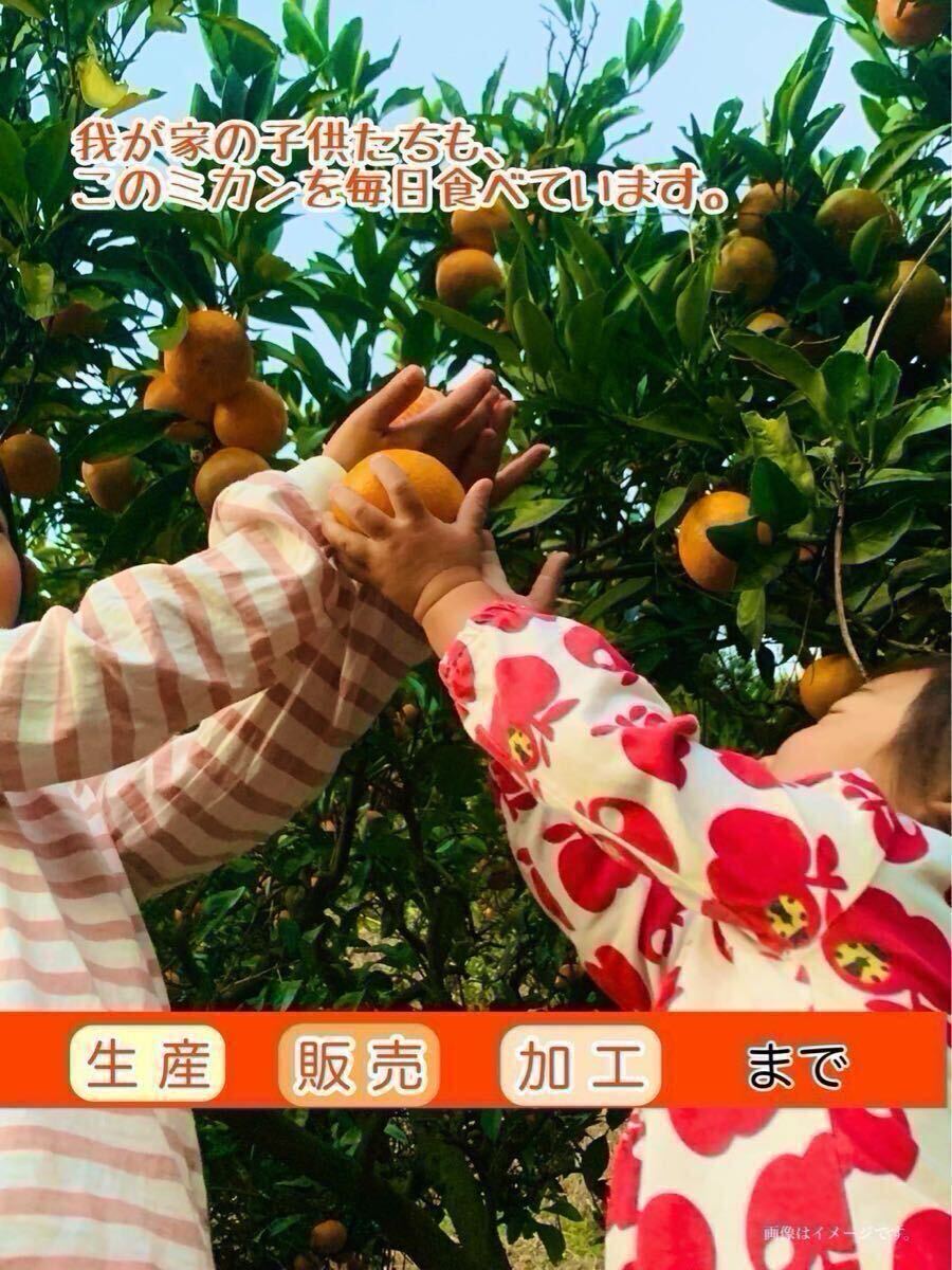 Yahoo!オークション - どうせ買うなら いなか屋の みかん 5kg 傷あり b...