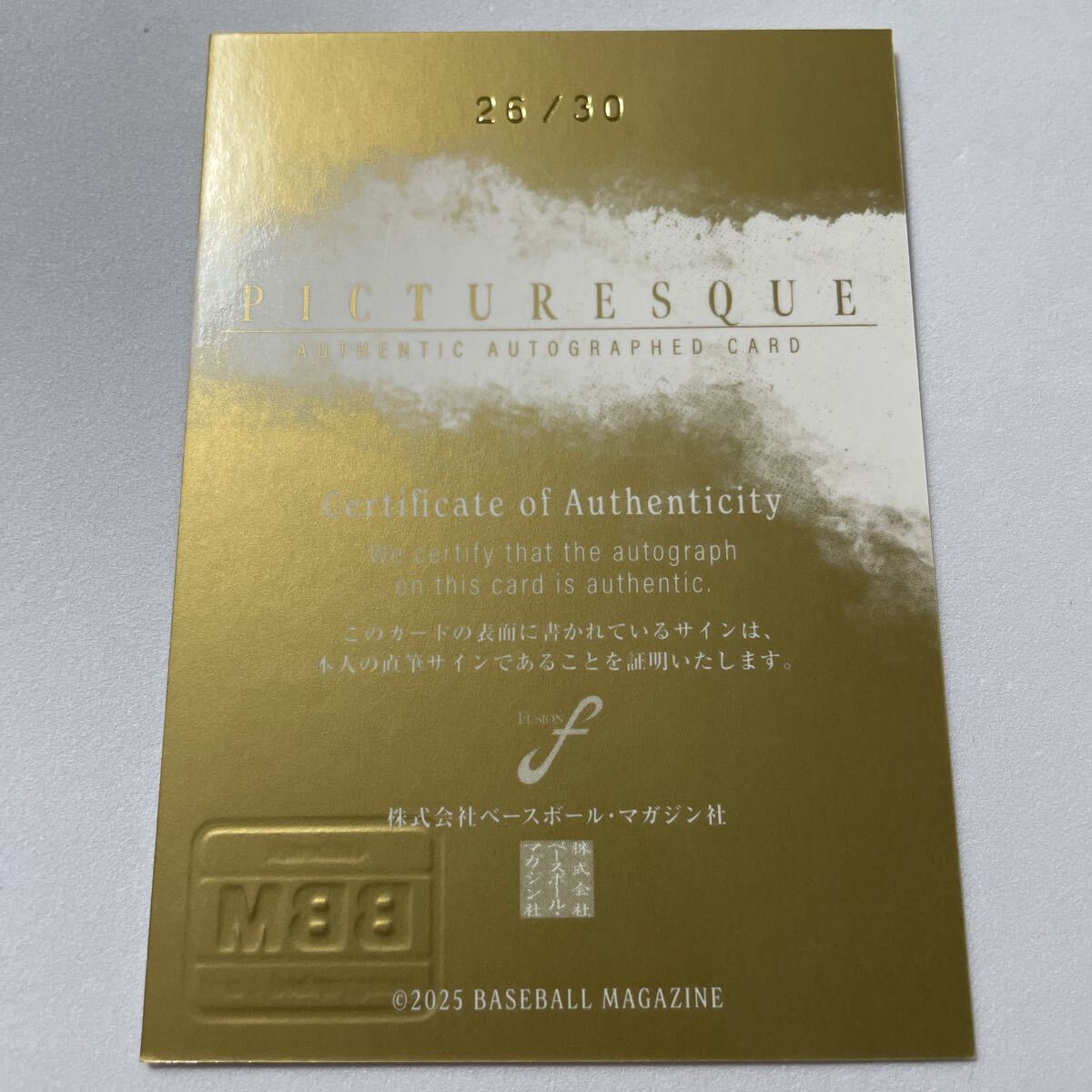 Yahoo!オークション - BBM 2025 FUSION PICTURESQUE 直筆サインカード ...