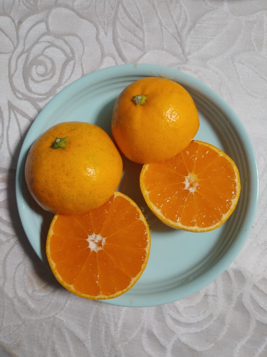 1無農薬 広島瀬戸田産 こだわり 早生ミカン 小粒 約6kg ゆうパック80サイズ 農家直送 ビタミンC(かんきつ類)｜売買されたオークション情報、yahooの商品情報をアーカイブ公開 ...