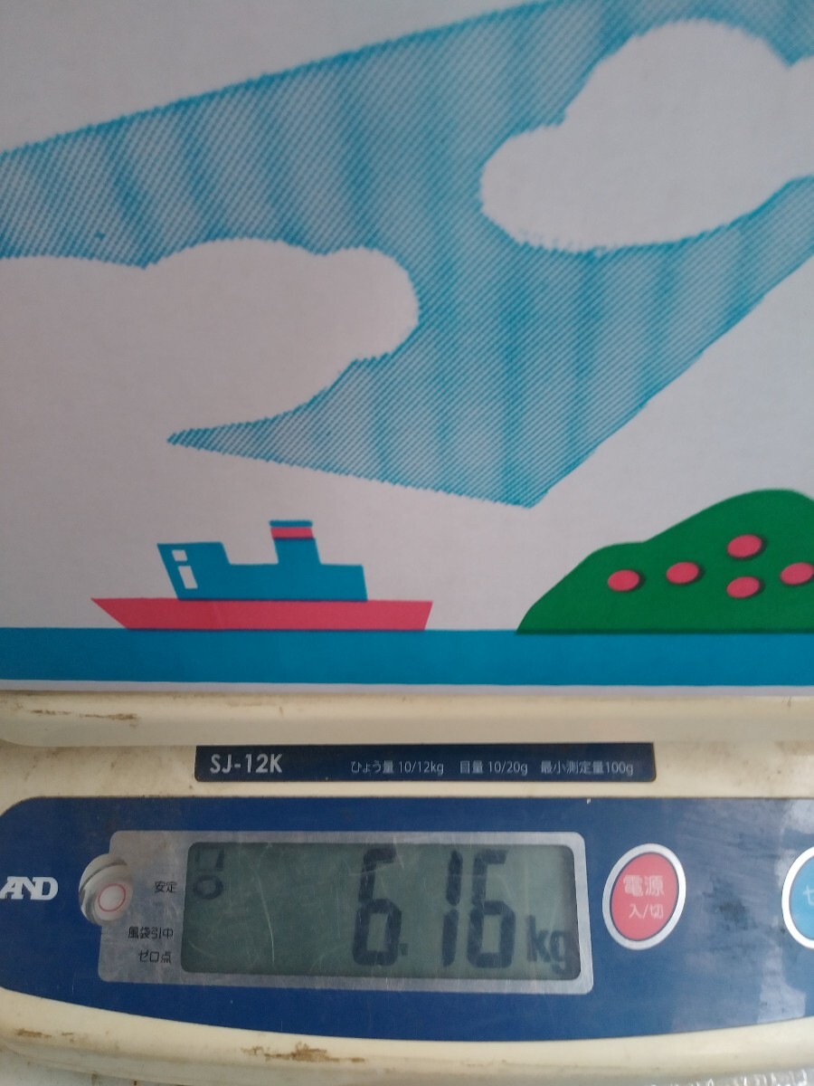 1無農薬 広島瀬戸田産 こだわり 早生ミカン 小粒 約6kg ゆうパック80サイズ 農家直送 ビタミンC(かんきつ類)｜売買されたオークション情報、yahooの商品情報をアーカイブ公開 ...