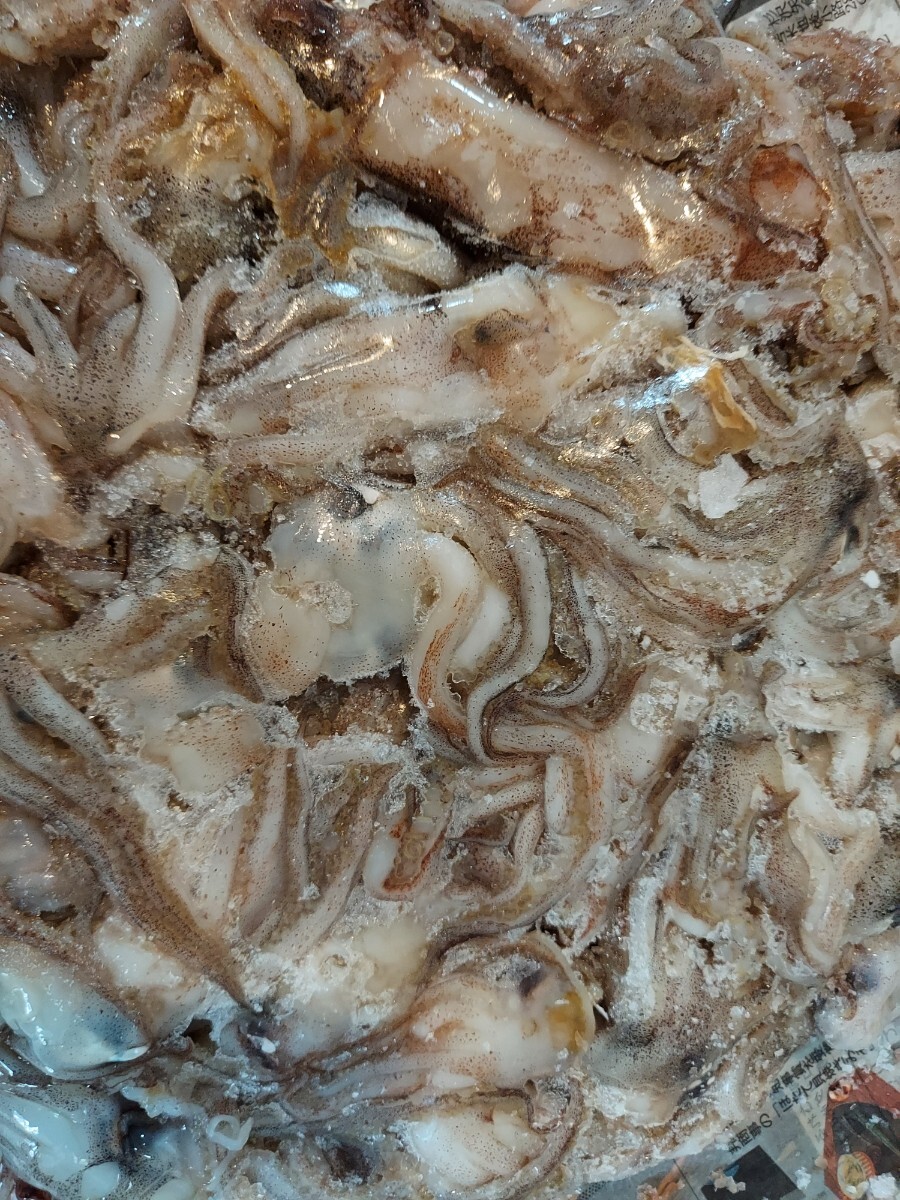 Yahoo!オークション - イカげそ(スルメイカ生)250gセット698円即決