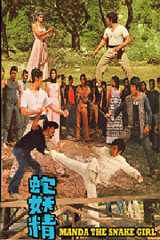 Yahoo!オークション - DVD 蛇群拳／殺人スネークVS.飛剣カンフー(蛇妖...