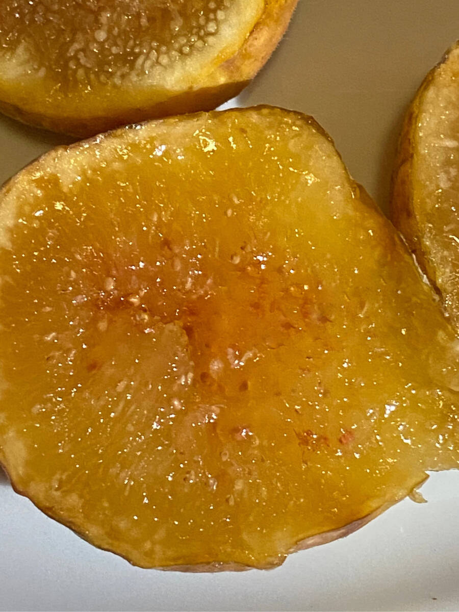 Yahoo!オークション - 【TFH由来】 Gold Rush ゴールドラッシュ 【イチ...