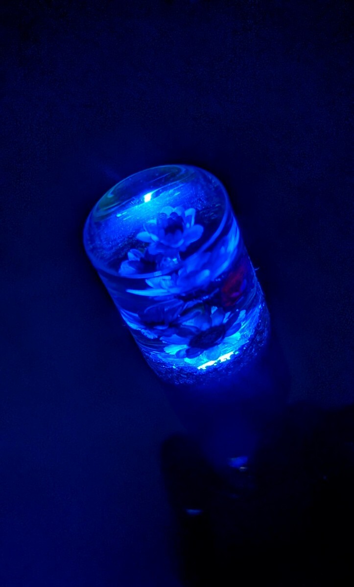 Yahoo!オークション - トグルスイッチ 水中花 ブルー LED 旧車 デコト...