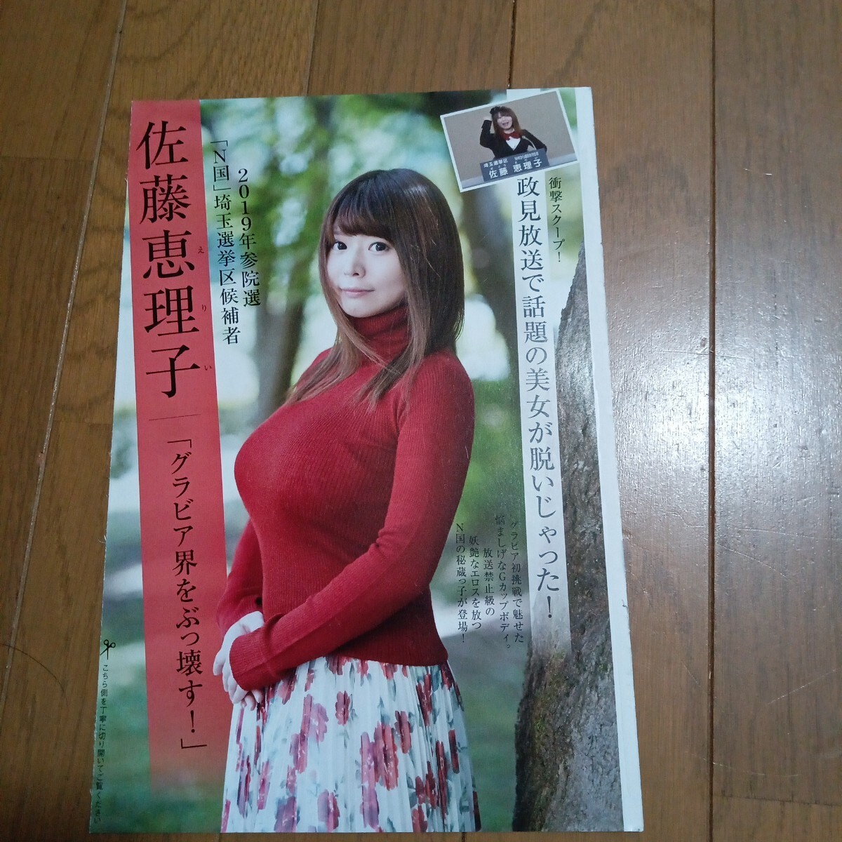 Yahoo!オークション - 【雑誌切り抜き】 佐藤恵理子 8P