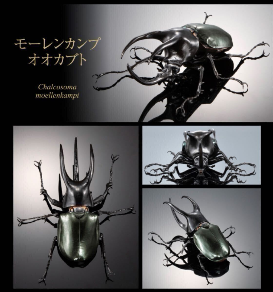 Yahoo!オークション - いきもの大図鑑アドバンス コーカサスオオカブト...