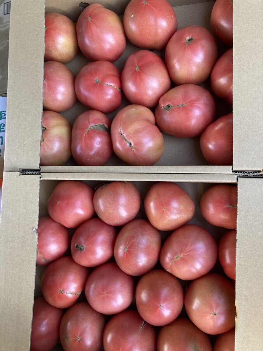 Yahoo!オークション - トマト 家庭用 7〜8kg
